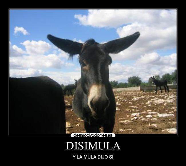 Imágenes y Carteles de MULA | Desmotivaciones